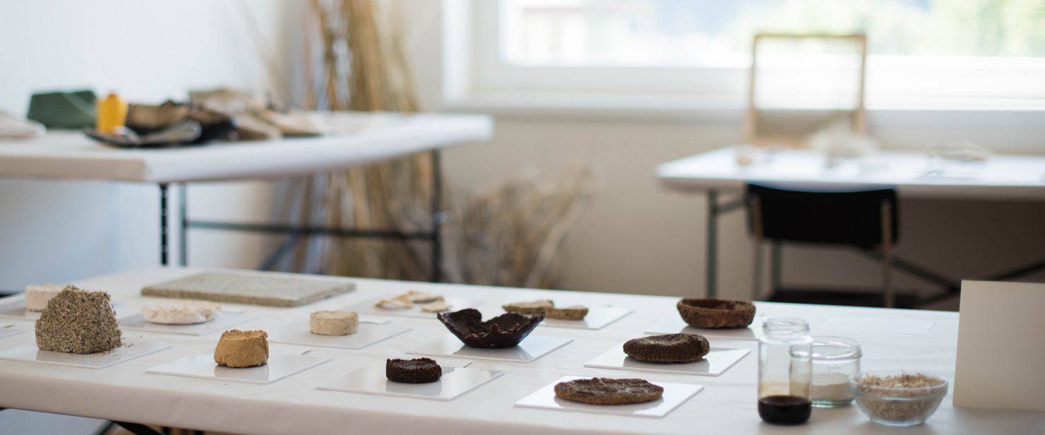 Master in Eco-Social Design / Free University of Bozen-Bolzano