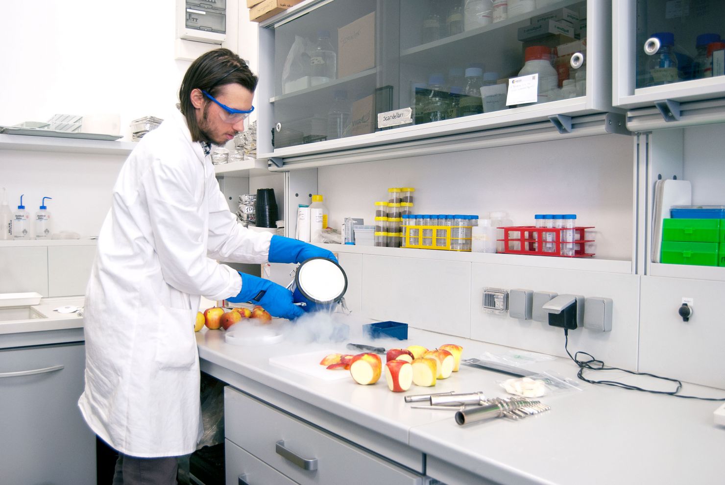 Lab For Entomology And Fruit Analysis Free University Of Bozen Bolzano lab-for-entomology-and-fruit-analysis-free-university-of-bozen-bolzano