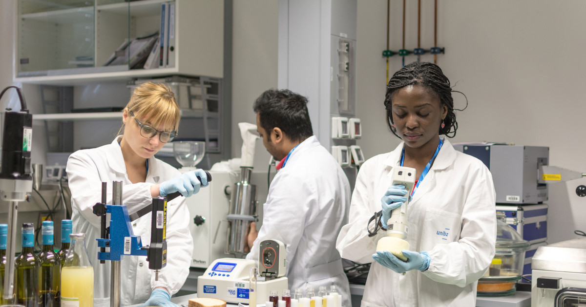 Master in Food Sciences for Innovation and Authenticity / Free ...