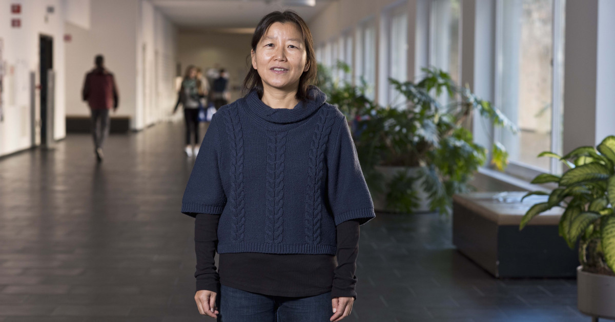 unibz diversity - Meet Prof. Xiaofeng Wang / Libera Università di Bolzano